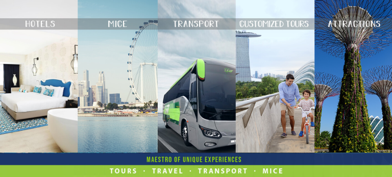 Top 5 Travel Agency Choices for Corporate Trips and Tours