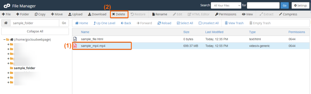 How to Remove unwanted Files to save space via cPanel File Manager?