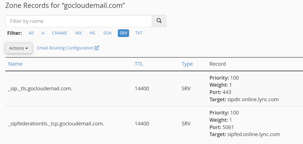 How to set up the DNS SRV record?